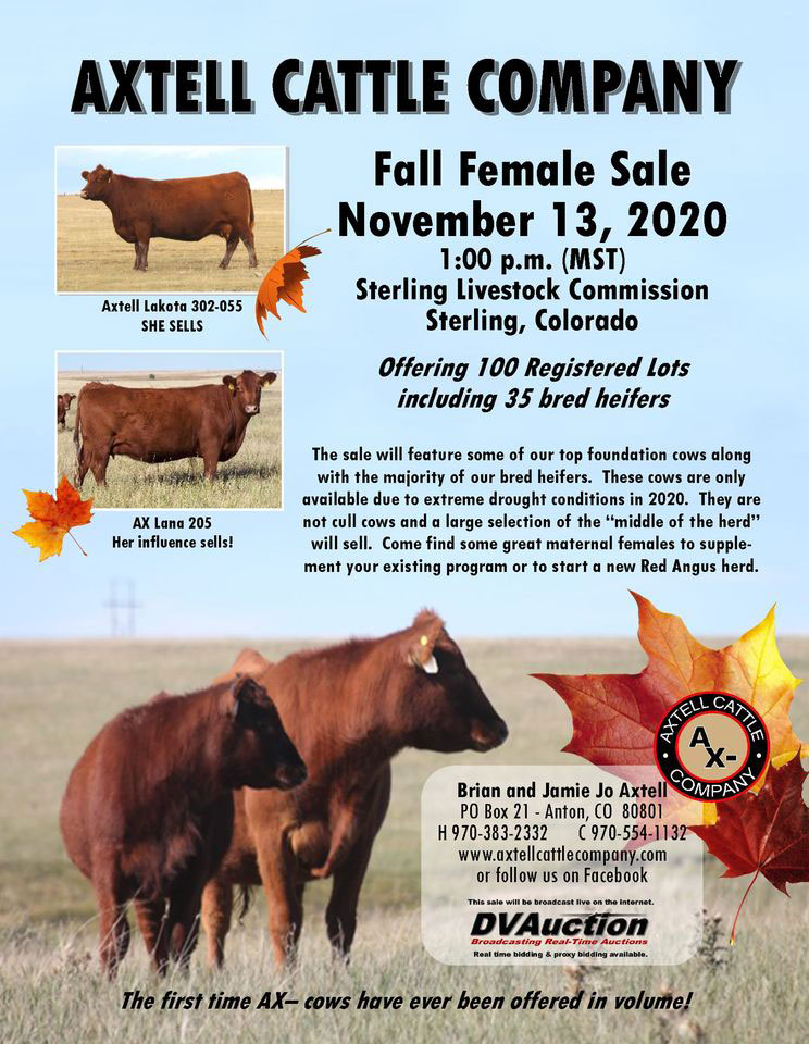 Welcome to Axtell Cattle Company | Red Angus genetics in Eastern Colorado